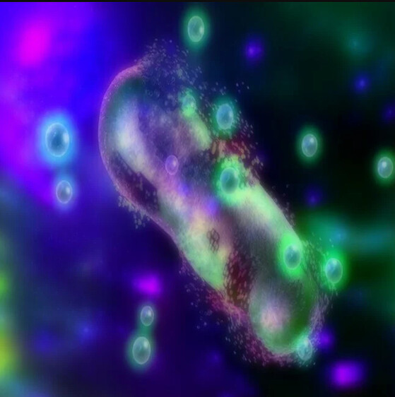 The Bacteria and Fungi Apocalypse - Audios - Sapien Medicine