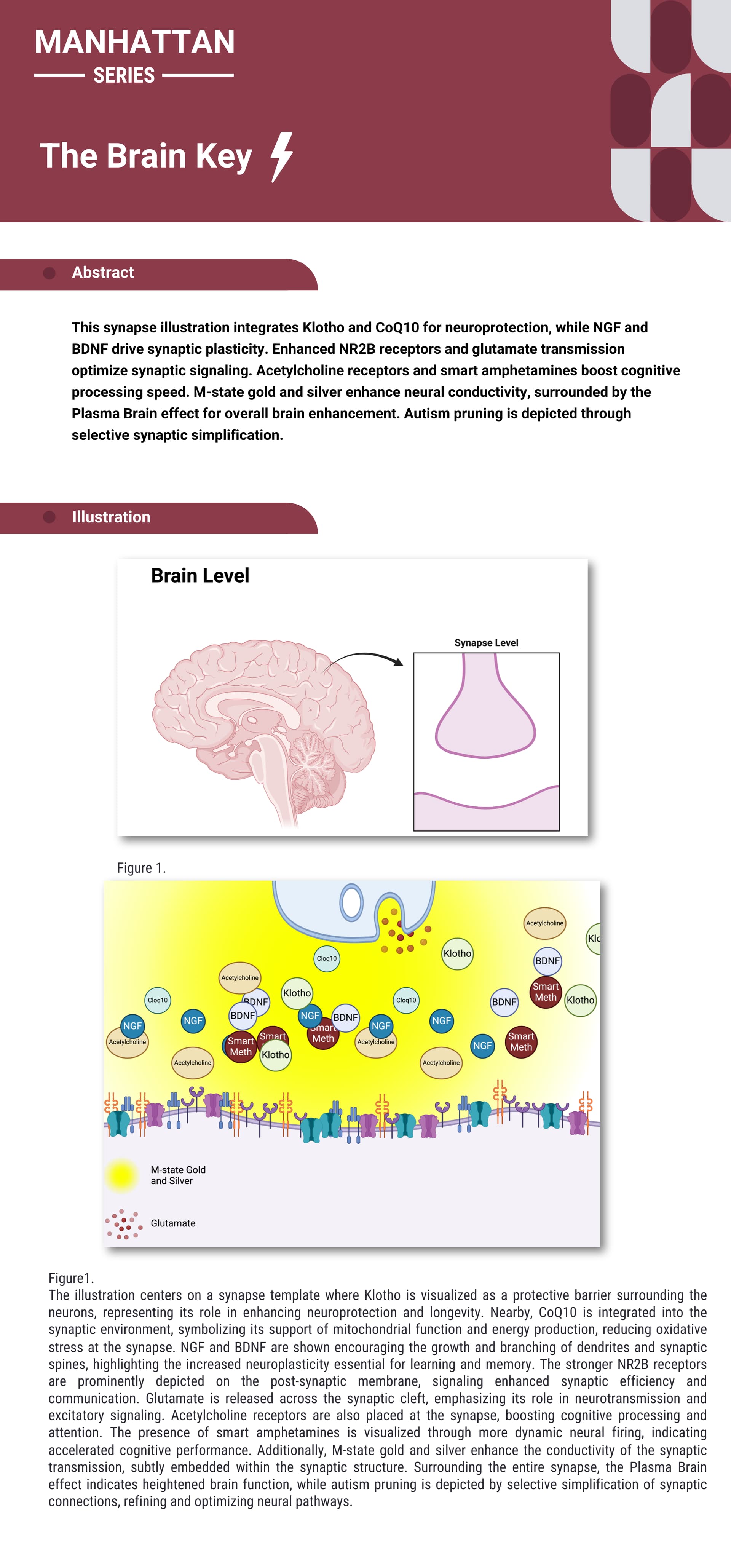 The Brain Key - Audios - Sapien Medicine